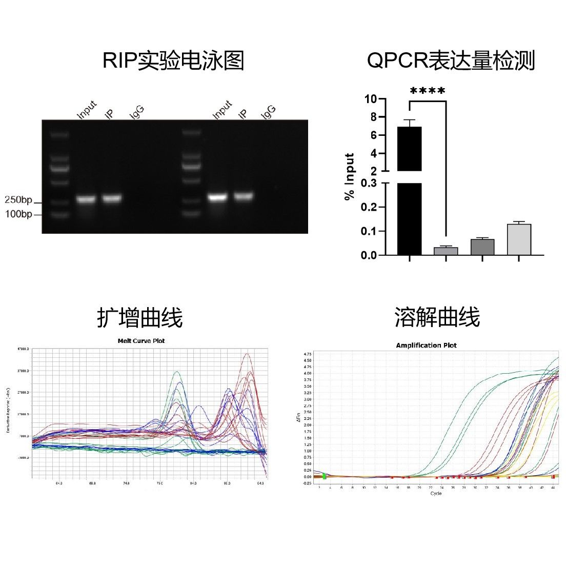 RIP-QPCR